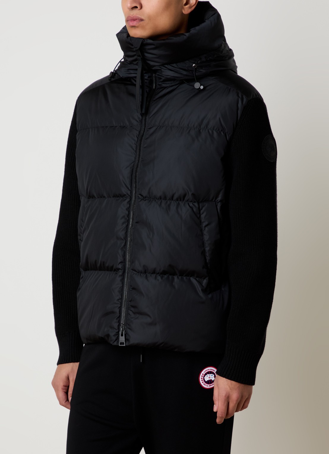 Canada Goose Hybridge jack in wolblend met donsvulling • Zwart ...